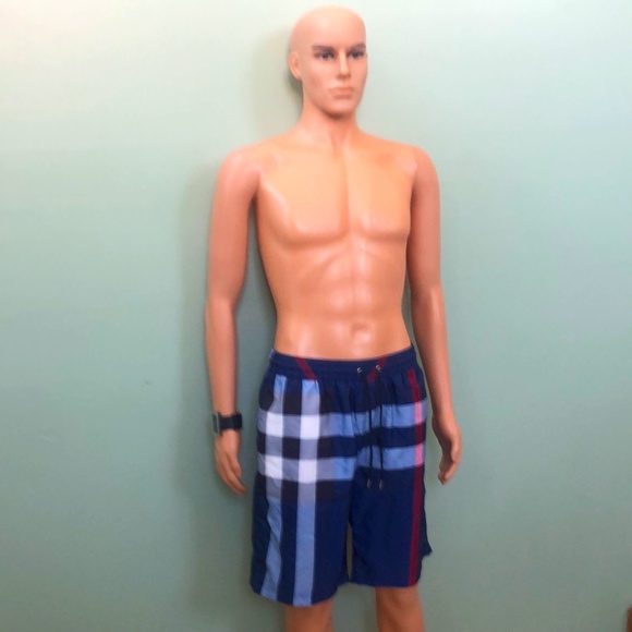 Burberry | Swim | Burberry Mens Authentic Blue Checkered Swim Trunks Sz ...